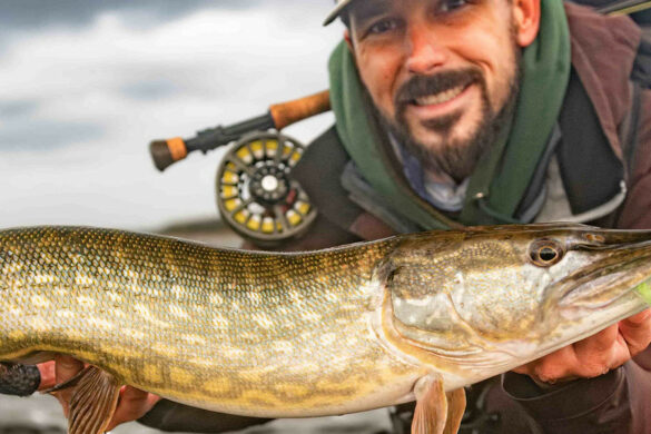 Le blog d'Ardent Pêche | Toutes les infos des pêches sportives